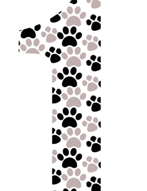 Paw Print Numbers Archives - Bespoke Wheelie Bin Numbers and decals ...