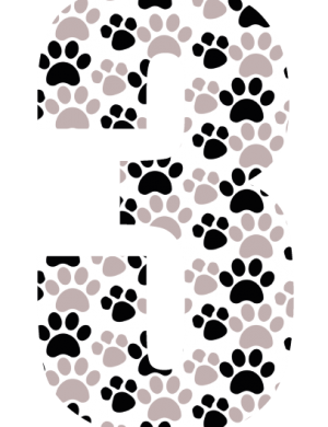 Paw Print Numbers Archives - Bespoke Wheelie Bin Numbers and decals ...